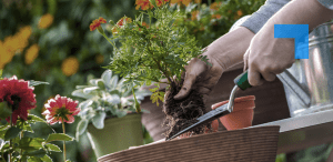 KBS produces the perfect solution for Elixir | KBS Corporate